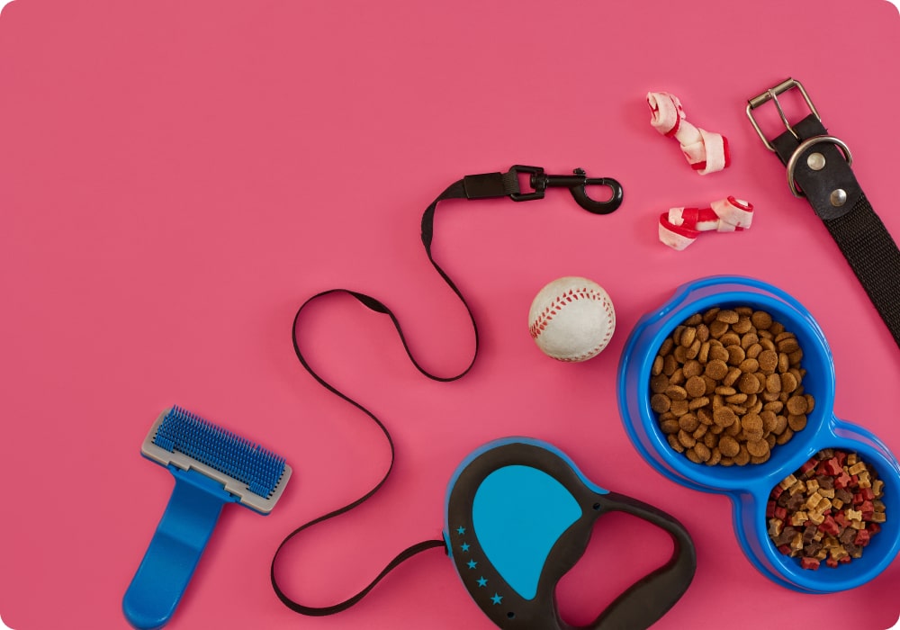 How To Launch An Online Pet Store From Scratch How To Launch An Online Pet Store From Scratch